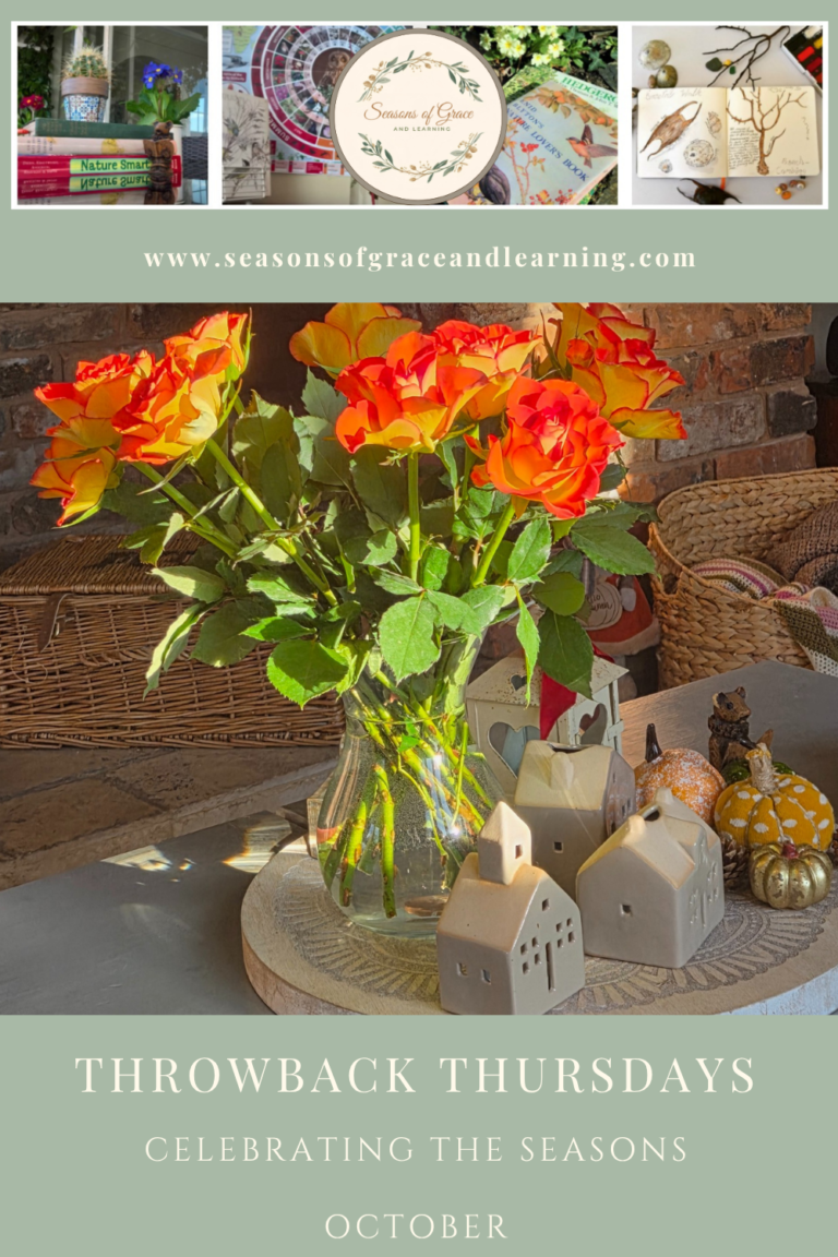 - Gentle encouragement for Christian women navigating faith ...